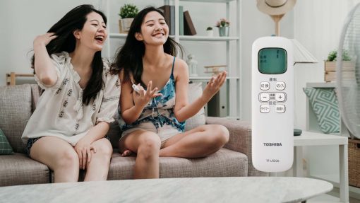 Quạt cây Toshiba TF-30DL26 Model 2023